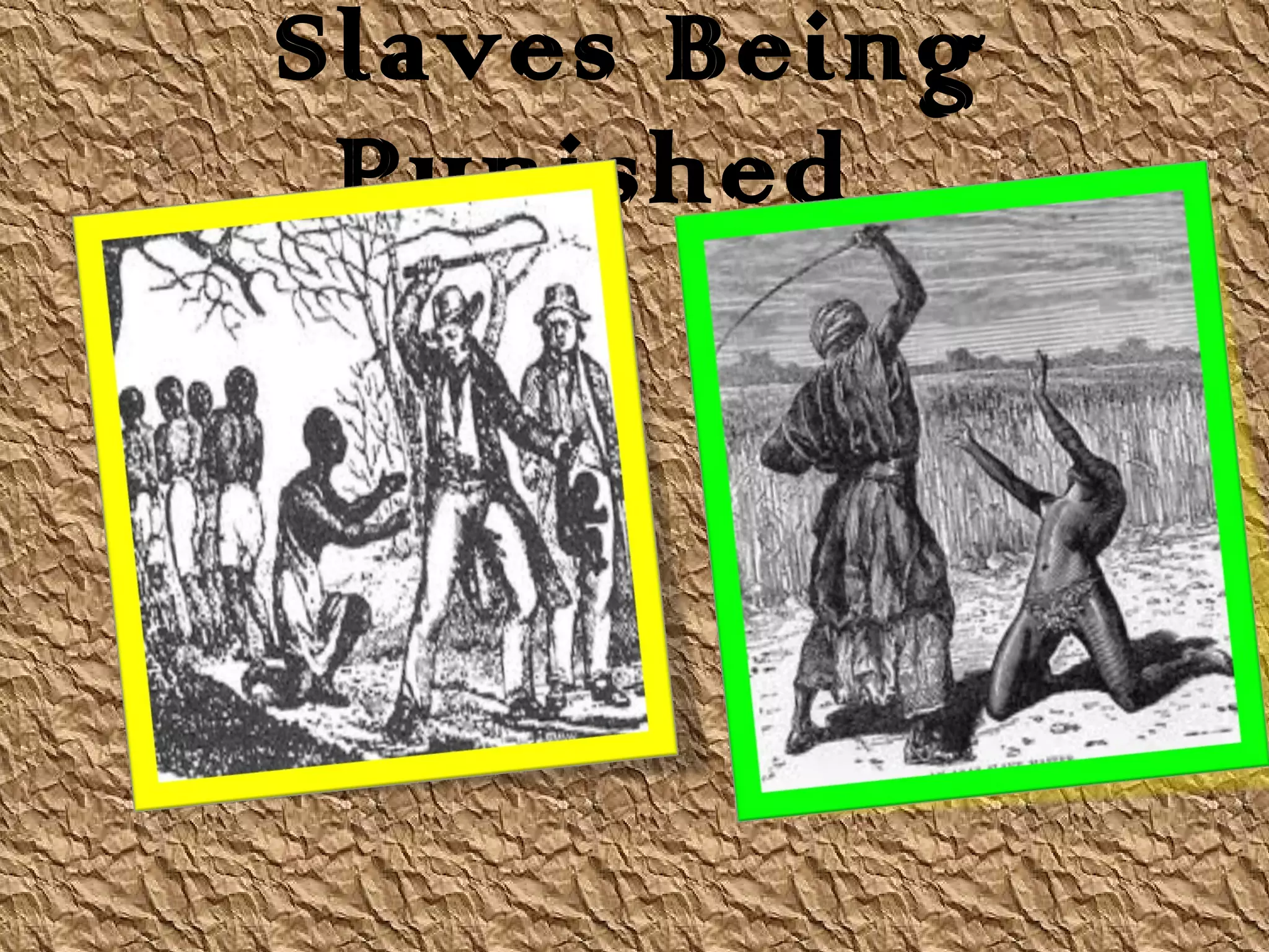 How do the caribbean people respond to oppression | PPT