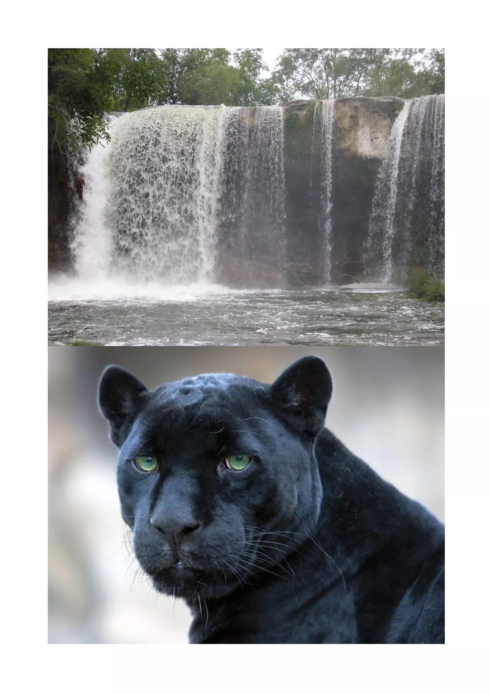 How do they feel | PDF