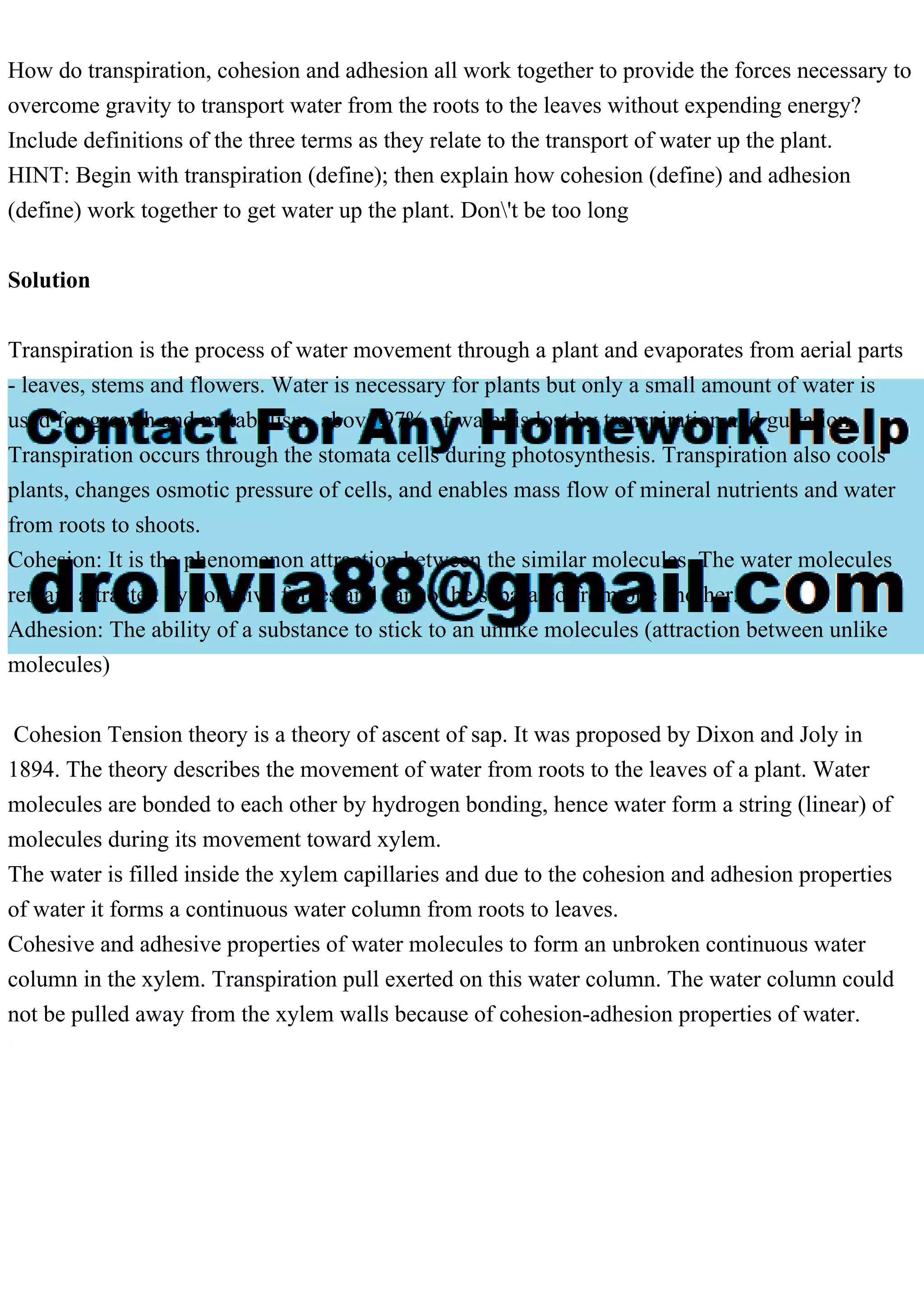 How do transpiration, cohesion and adhesion all work together to pro.pdf