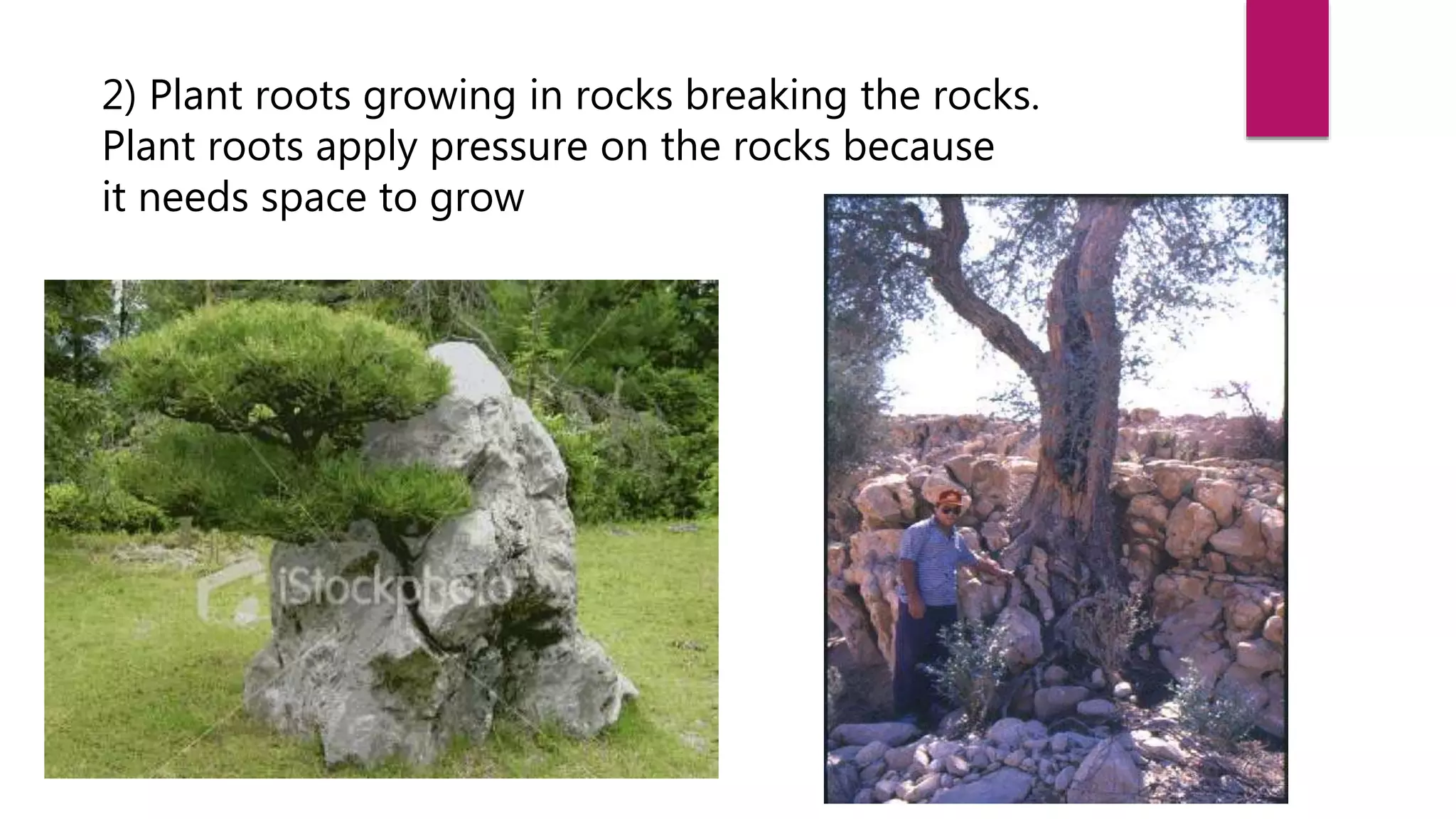 How do weathering and erosion shape the land 1 | PPTX