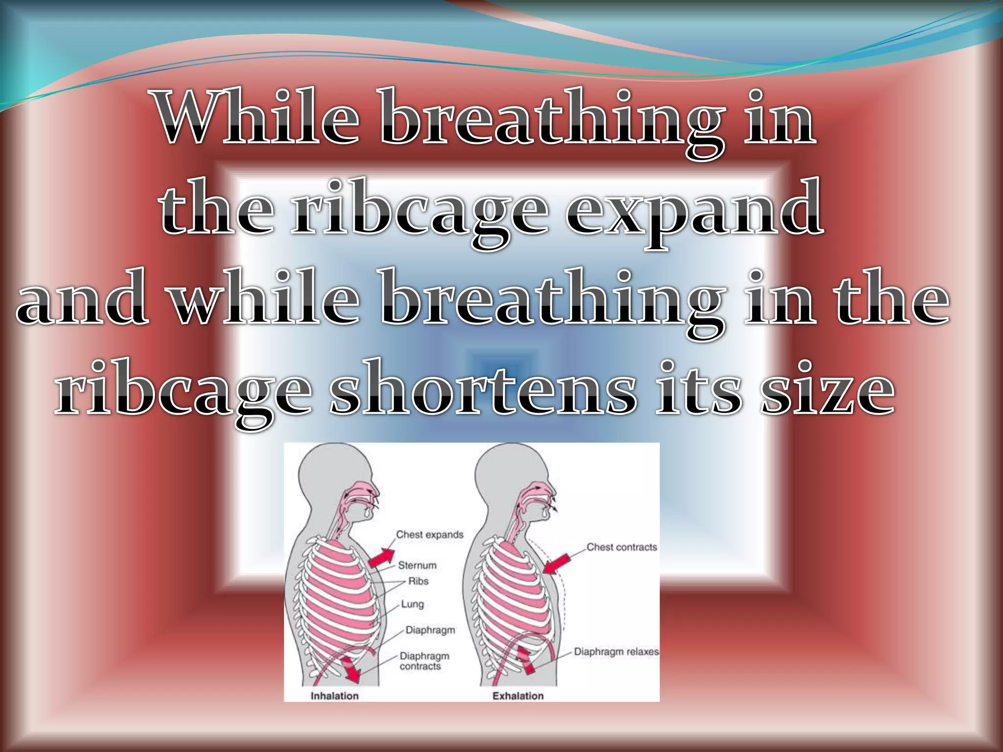 How do we breath | PPT