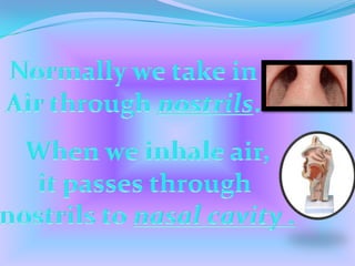 How do we breath | PPT