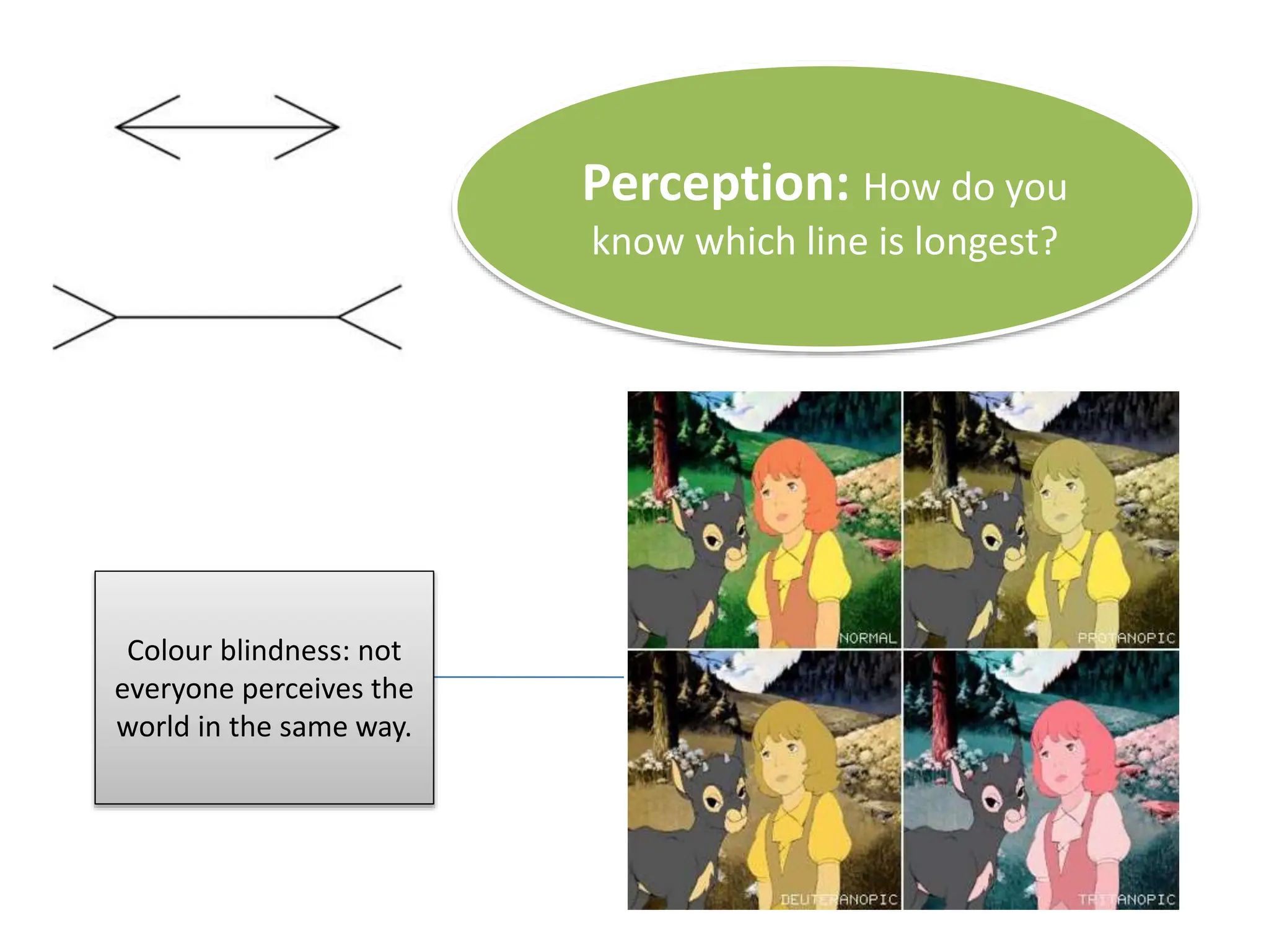 Introductory presentation to TOK Ways of Knowing | PPTX