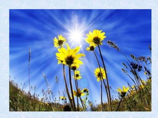 How do we measure the weather | PPT