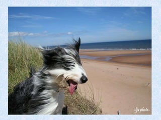 How do we measure the weather | PPT