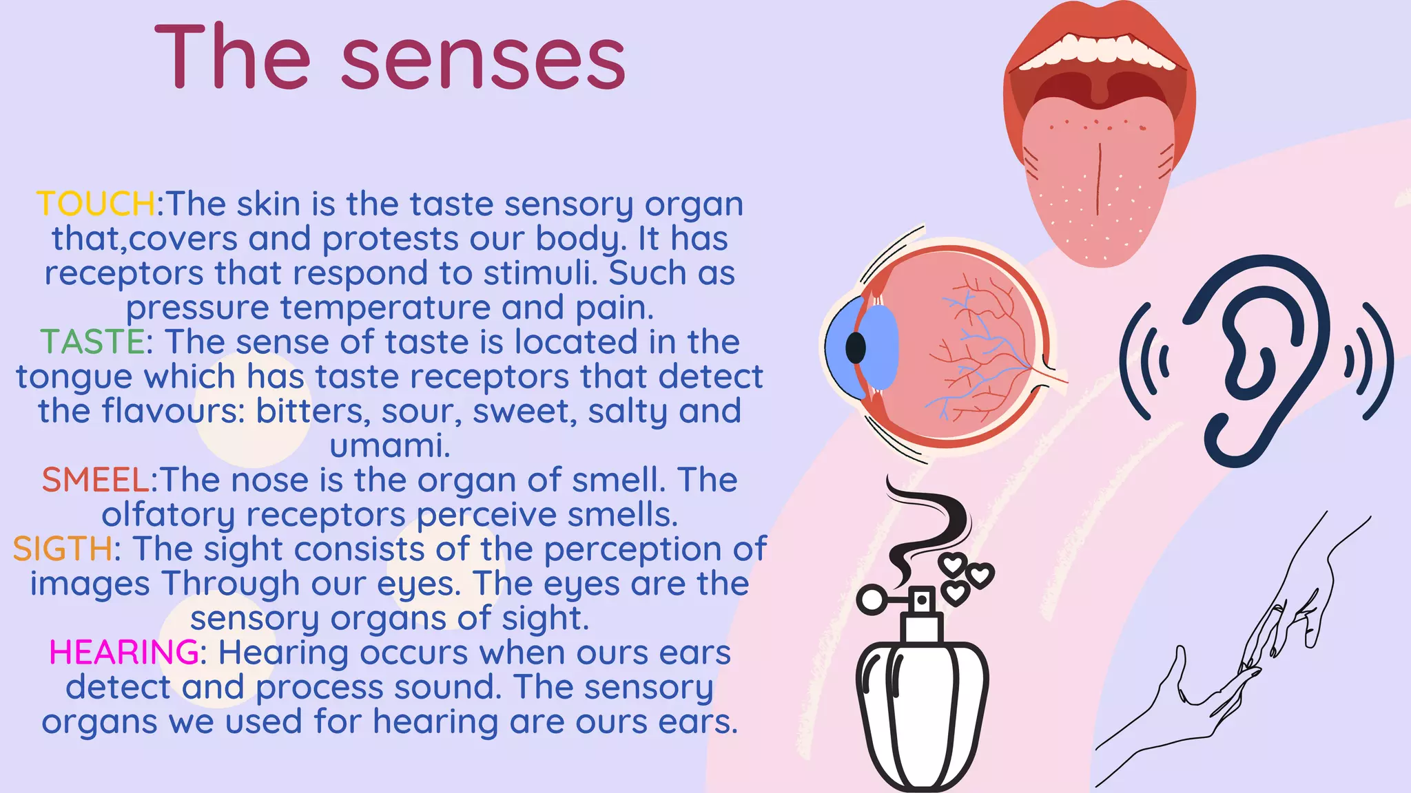 How do we respond to stimuli.pdf