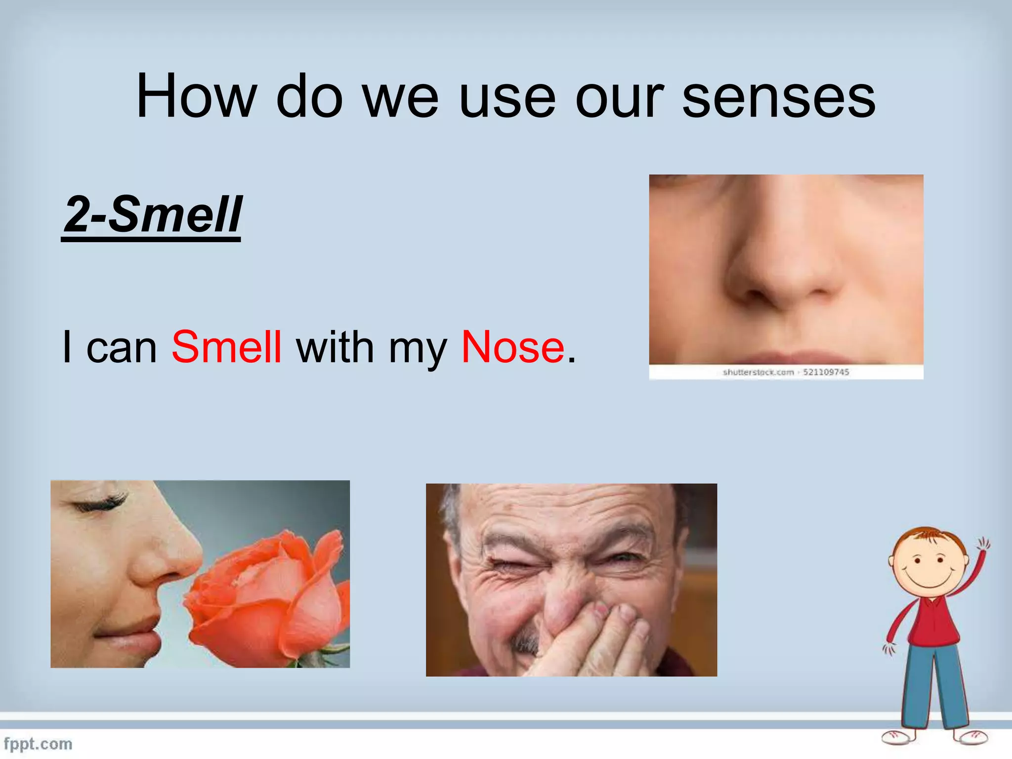 How do we use our senses | PPTX