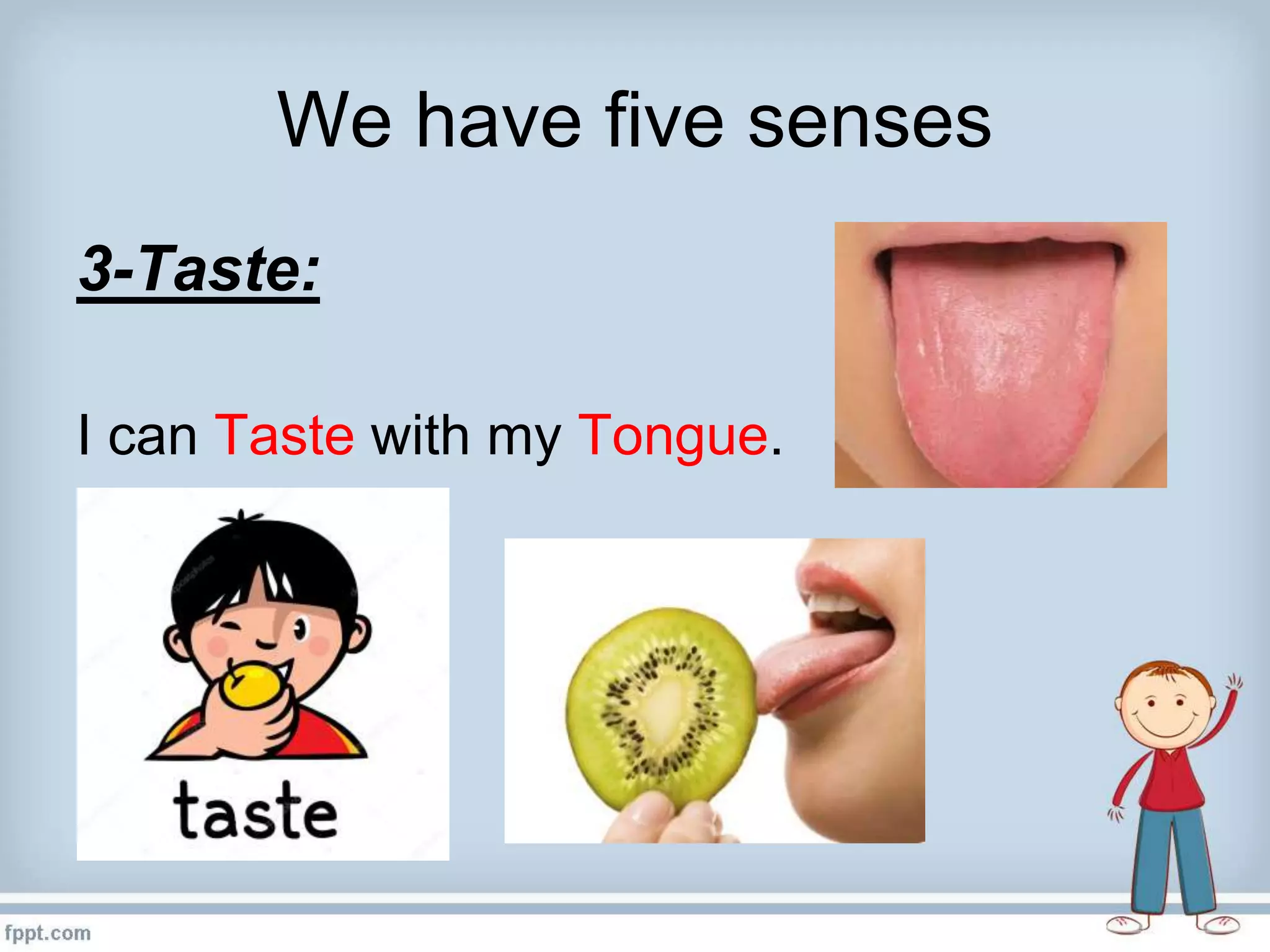 How do we use our senses | PPTX