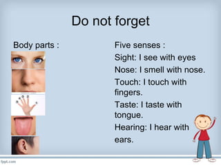 How do we use our senses | PPTX