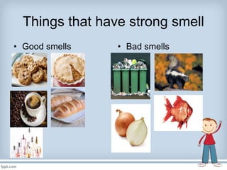 How do we use our senses | PPTX