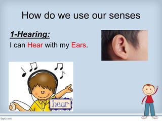How do we use our senses | PPTX