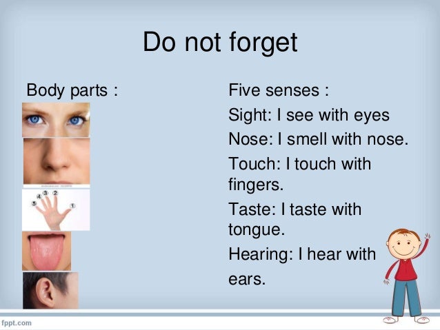How do we use our senses