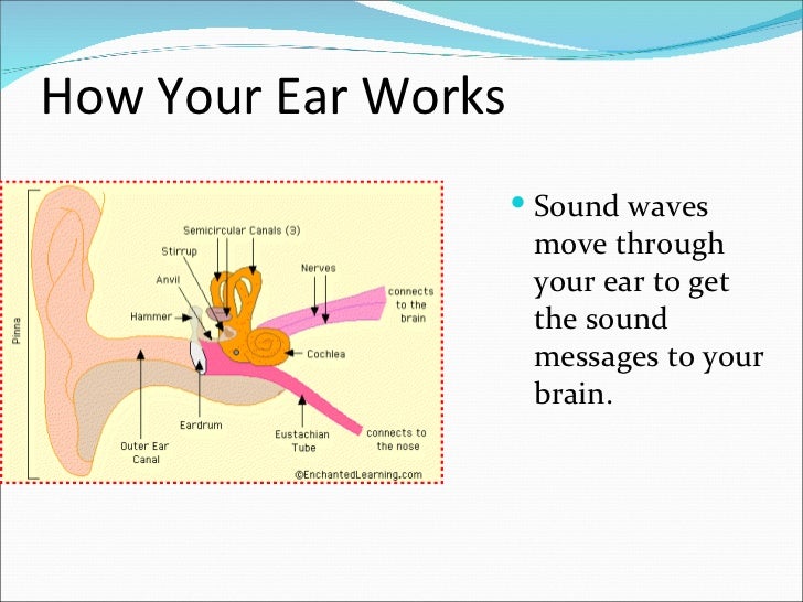 How do you hear sound