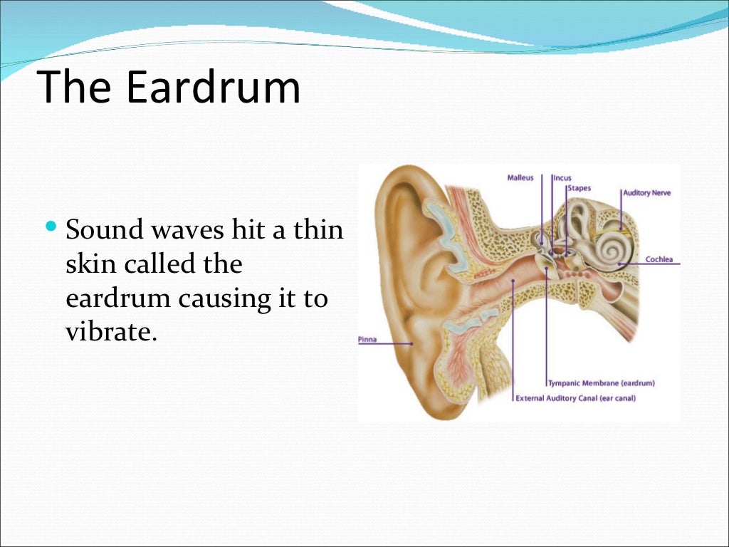 How do you hear sound