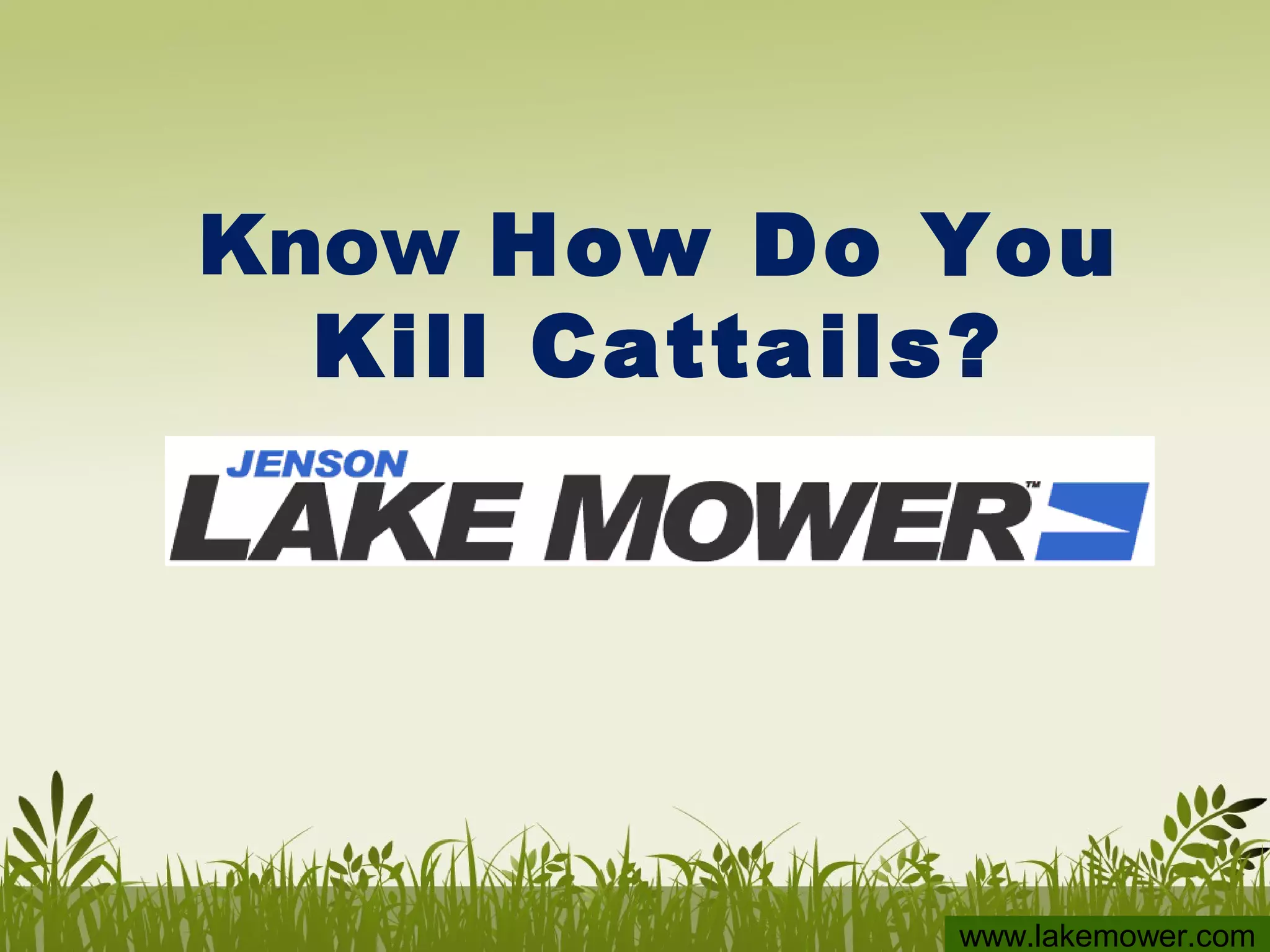 Checkout How Do You Kill Cattails? | PPT