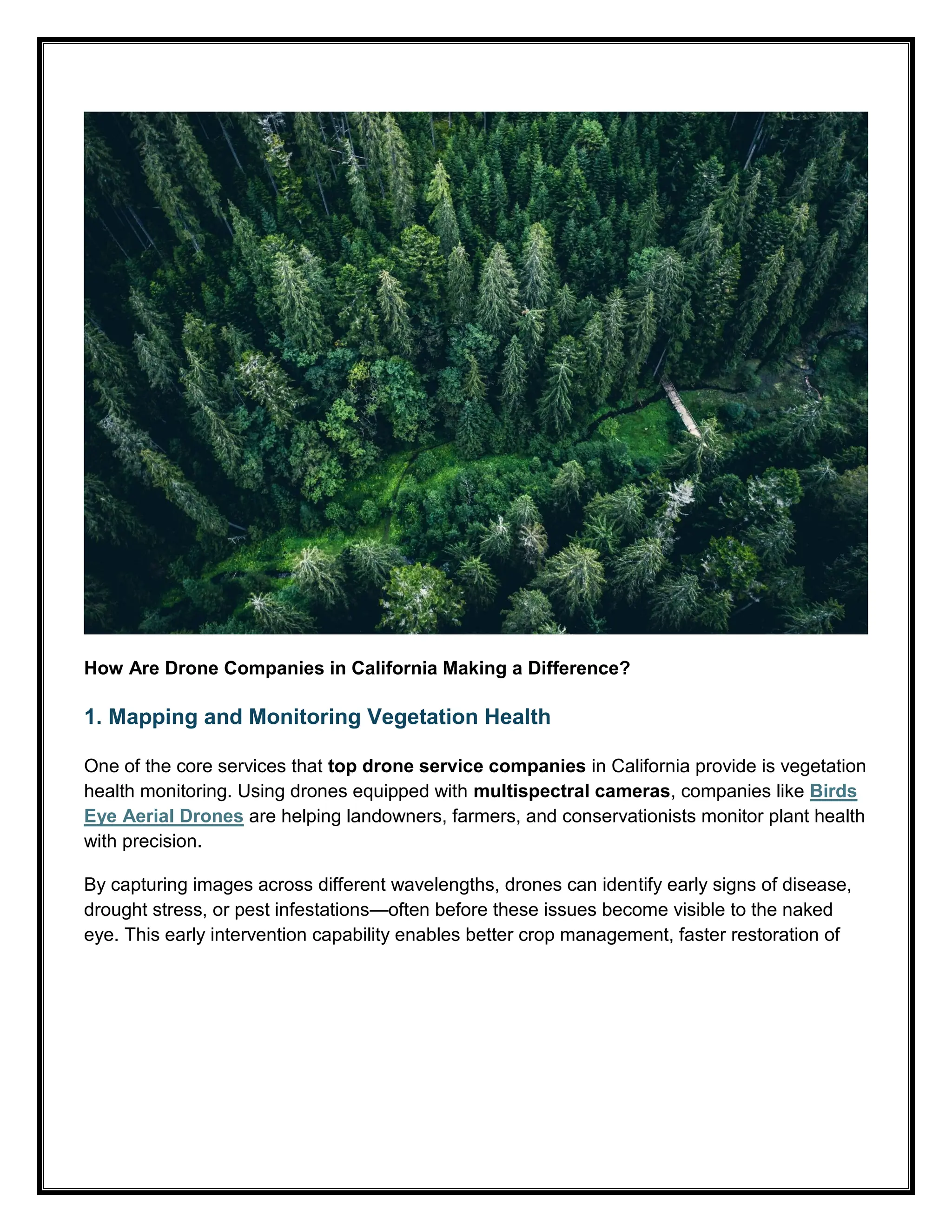 How Drone Companies in California Are Supporting Environmental ...