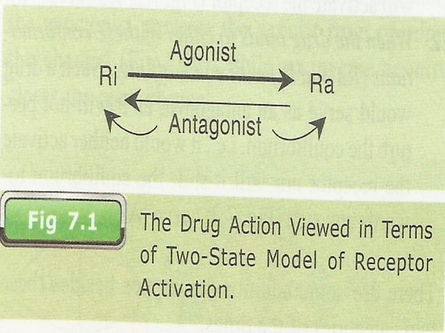 How Drug Act, Basics of Molecular Pharmacology.pptx