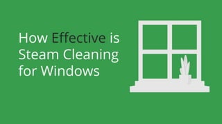 How effective is steam cleaning for windows. | PPTX