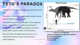 Cancer resistance in elephant and comparative cellular response to DNA ...