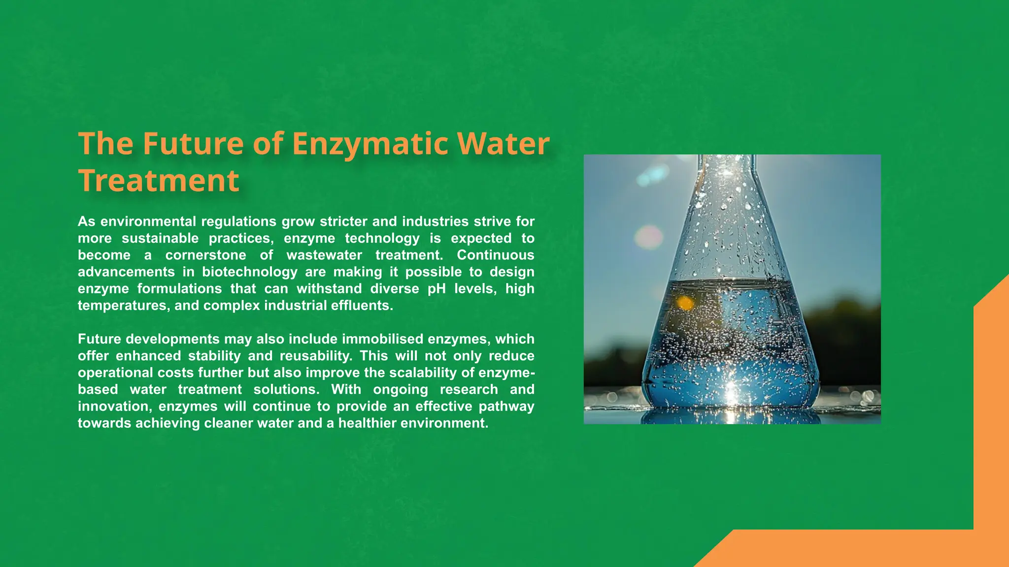 Cleaner Water through Smarter Enzyme Action | PPTX
