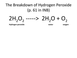 How enzymes work | PPT