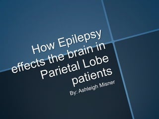How epilepsy effects the brain in parietal lobe | PPT