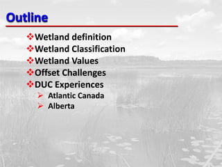 Wetlands: Biodiversity Offsets: Challenges and considerations | PDF