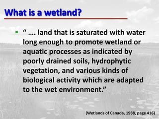 Wetlands: Biodiversity Offsets: Challenges and considerations | PDF