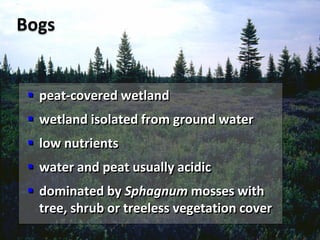Wetlands: Biodiversity Offsets: Challenges and considerations | PDF