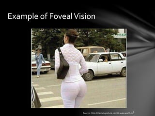 How eyetrackerswork | PPTX