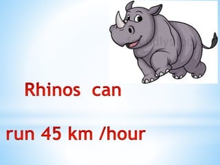 How fast can animals run | PPT