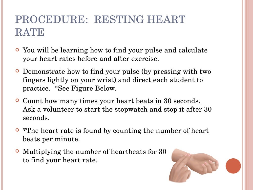 How Fast Does Your Heart Beat Science Ind Project How Fast Does Your Heart Beat Science Ind Project