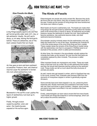 How Fossils Are Made | PDF