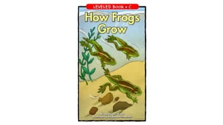 How Frogs Grow | PPTX