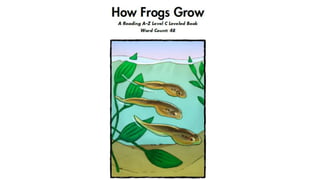 How Frogs Grow | PPT