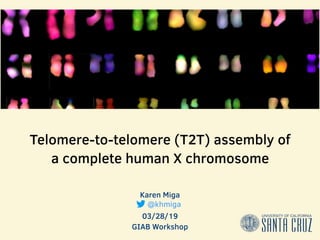 How giab fits in the rest of the world telomere to telomere consortium ...