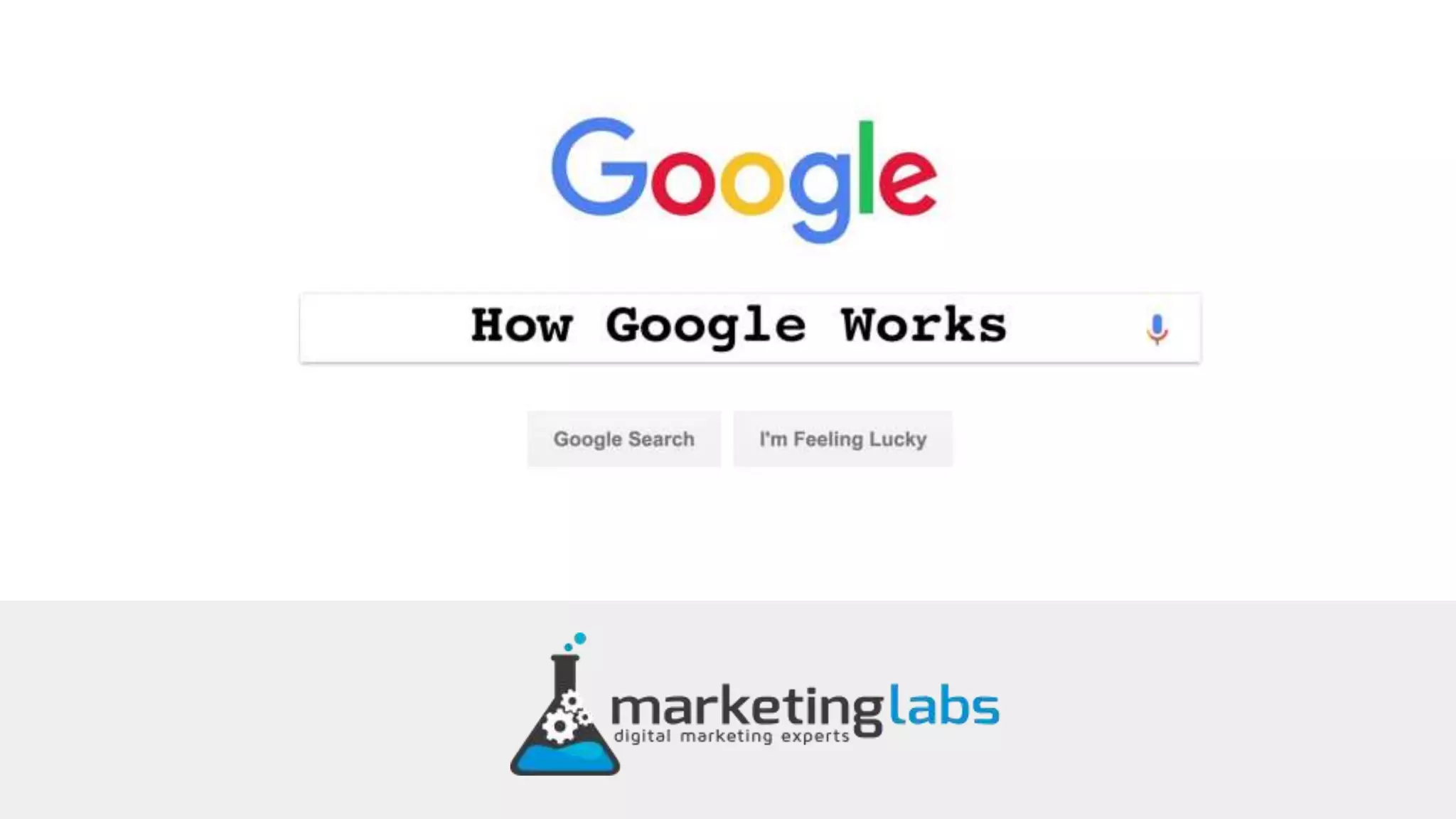 A light introduction to how Google works | PPT