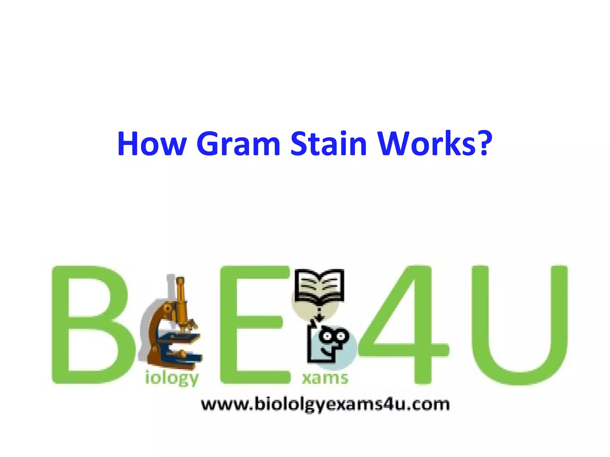 How Gram stain works? | PPT