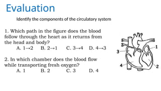 How heart pump blood and the direction of the blood.pptx