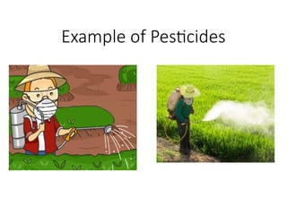 How Herbicides .pptx jbfhjafuygfywfhshfvyuf | PPTX