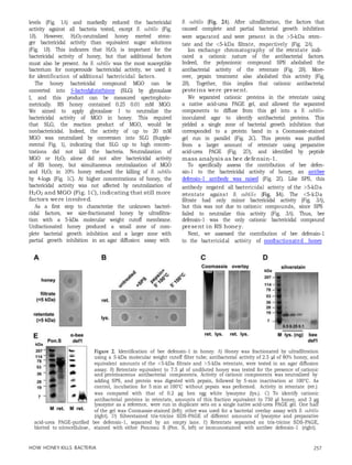 How honey kill bacteria | DOCX