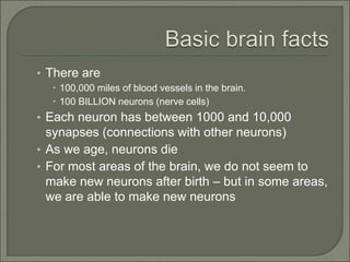 how human brain works presentation for the students which is more ...