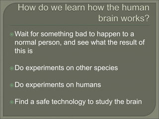 how human brain works presentation for the students which is more ...