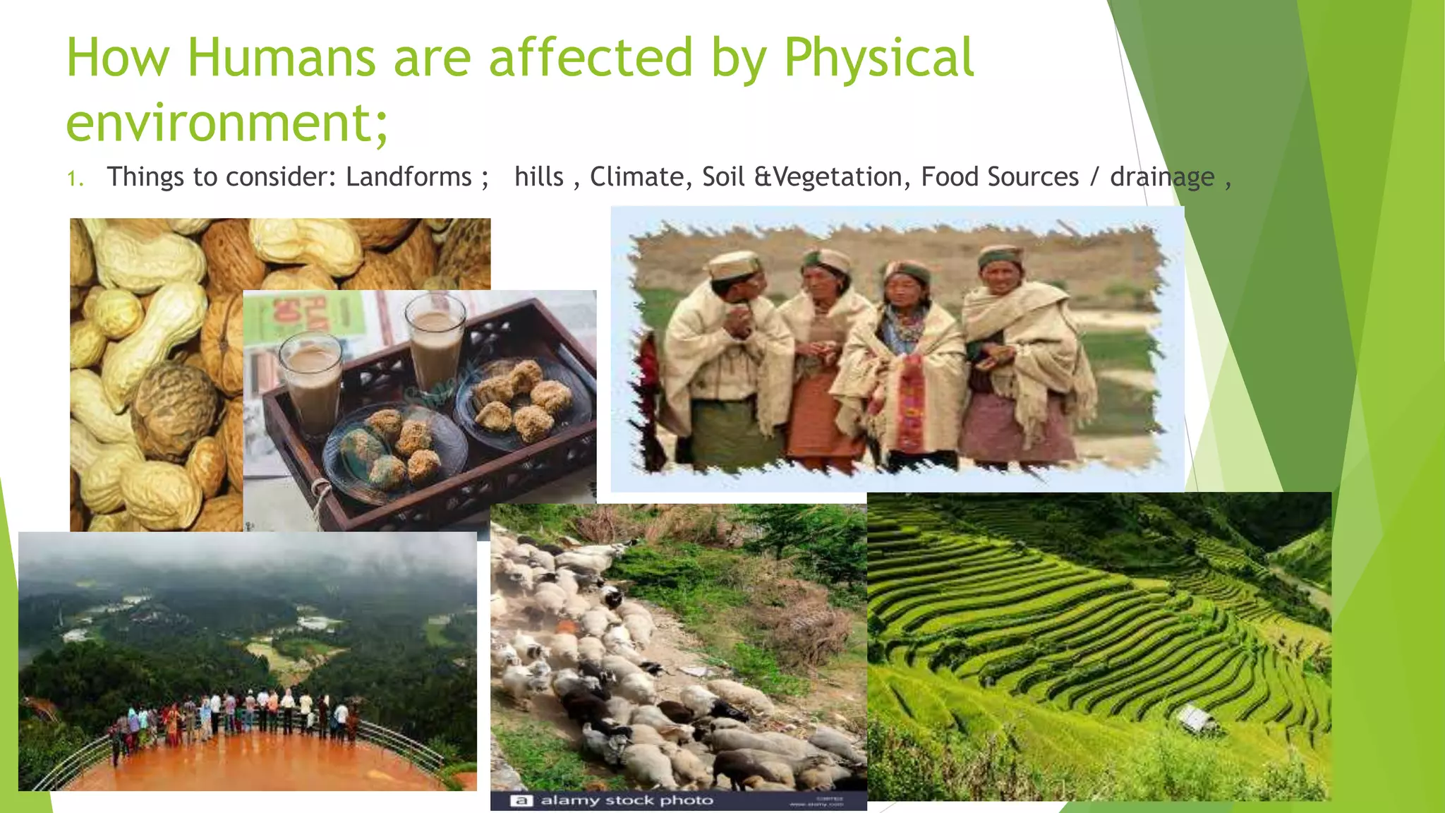 How humans are affected by physical features -for grade 6 | PPTX