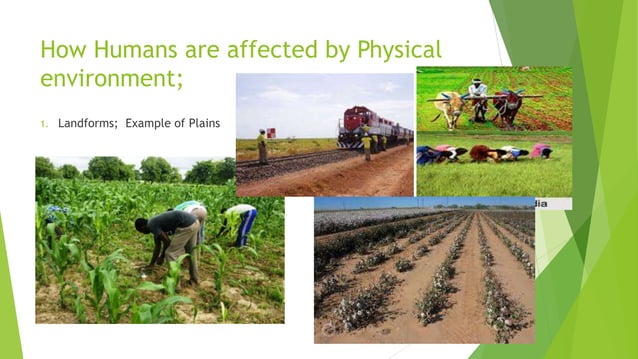 How humans are affected by physical features -for grade 6 | PPTX ...