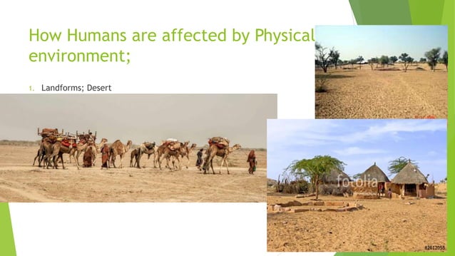 How humans are affected by physical features -for grade 6 | PPTX ...