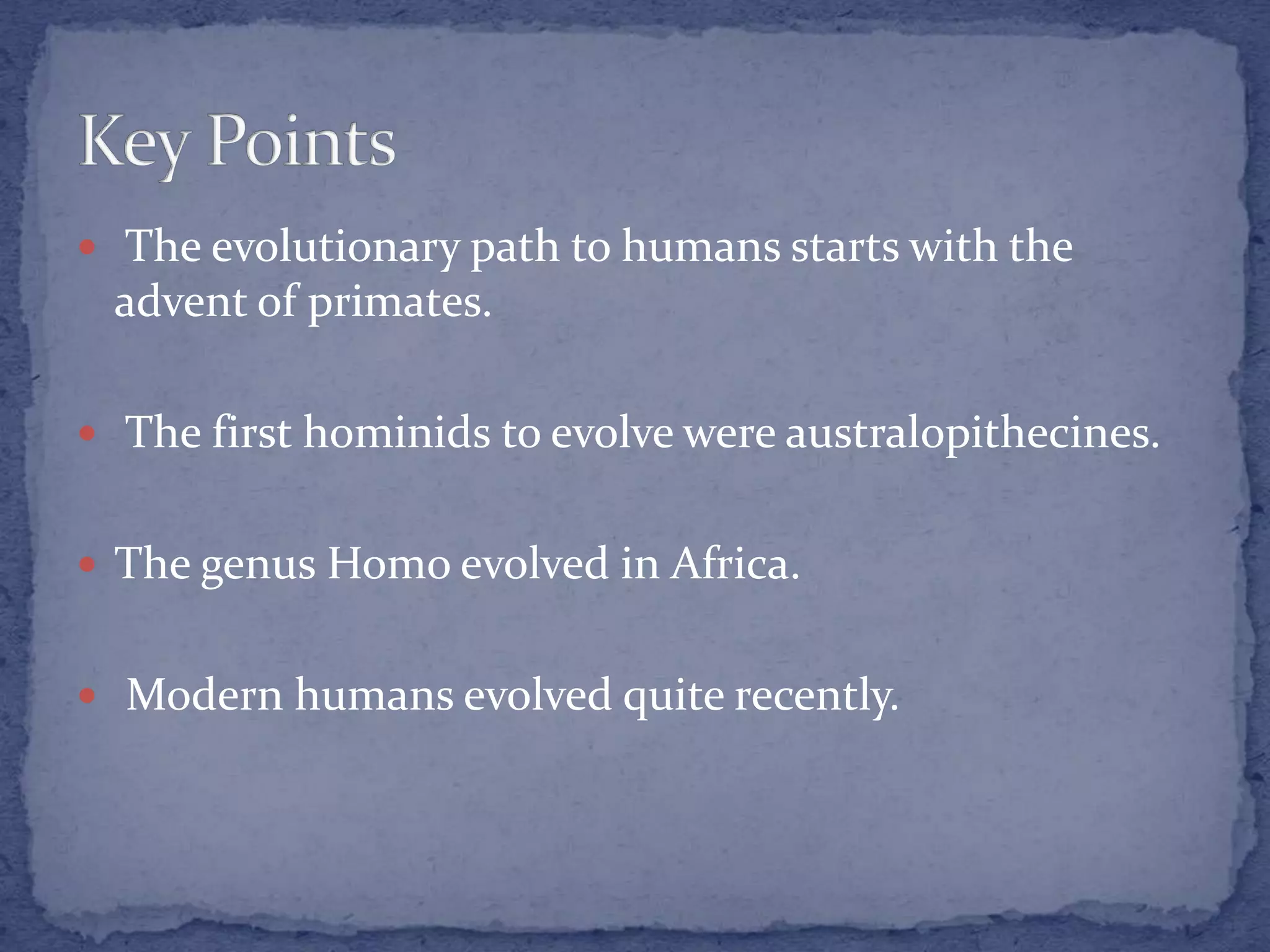 Evolution of Human | PPTX