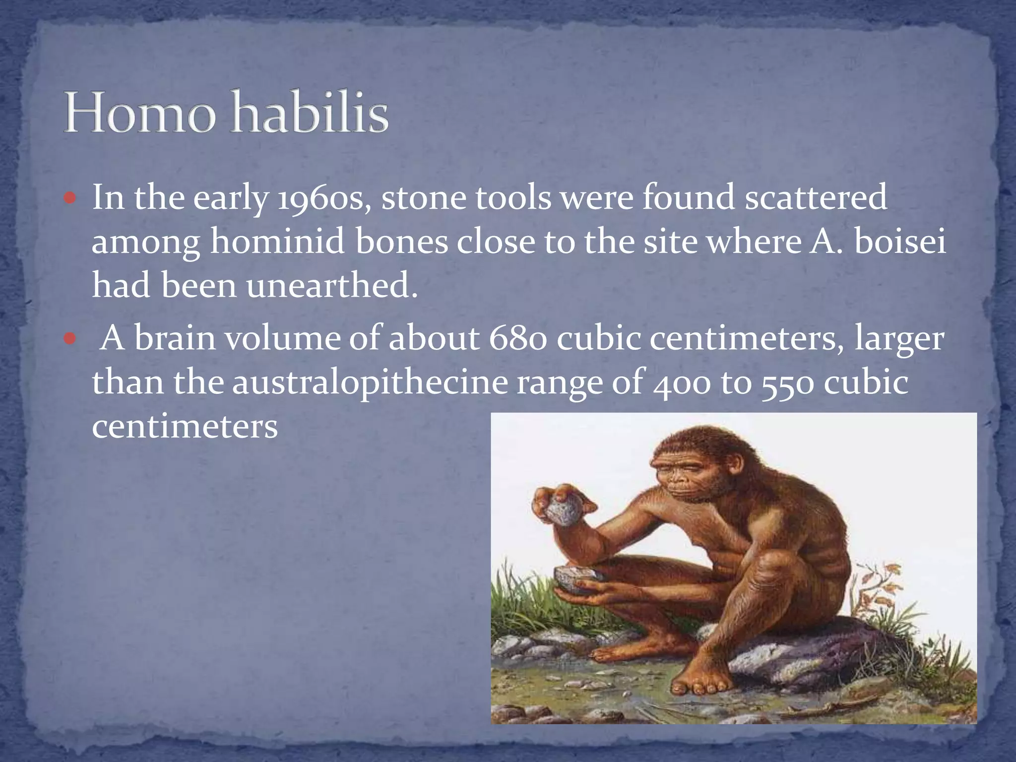 Evolution of Human | PPTX