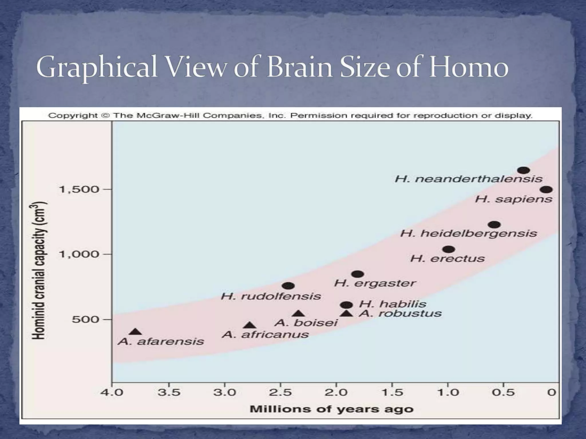 Evolution of Human | PPTX