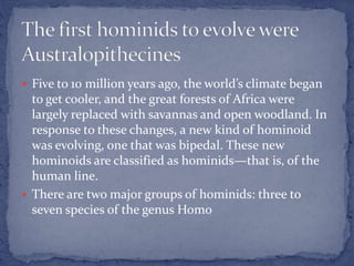 Evolution of Human | PPTX